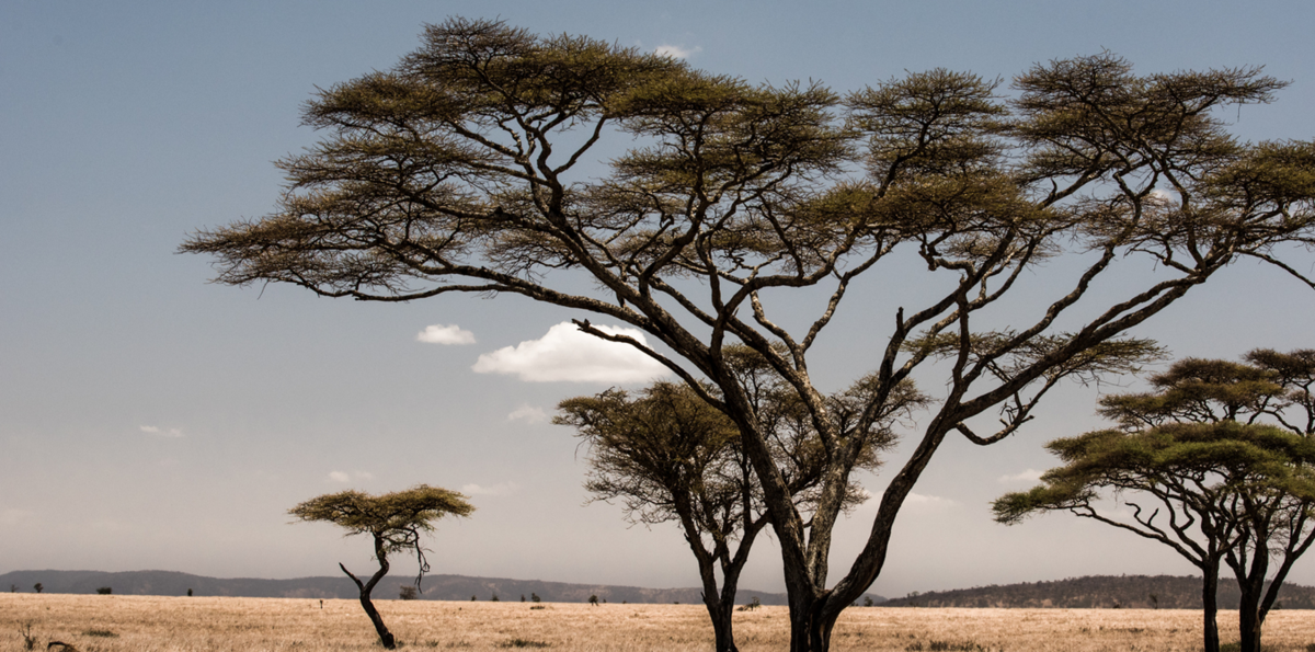 NURTURE - Projects - Site